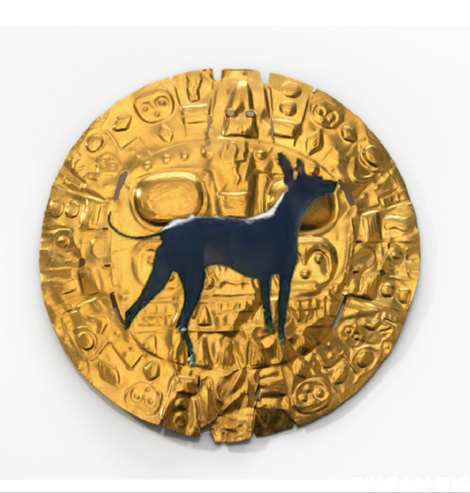 Kennel Inka Magic - Peruviansk Nakenhund - Pelset og Hårløs ...